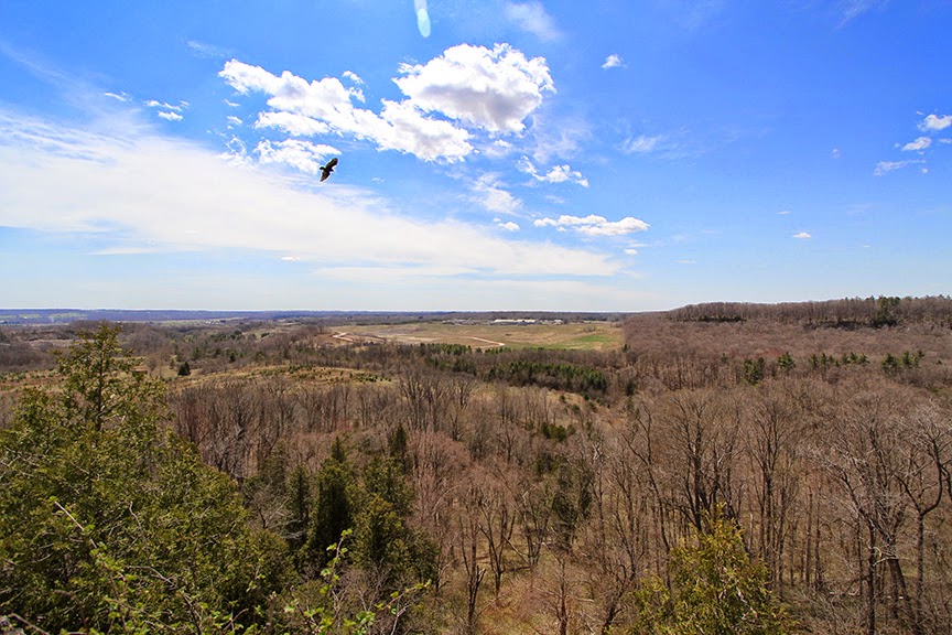 Jeff in TO: Hike @ Rattlesnake Point