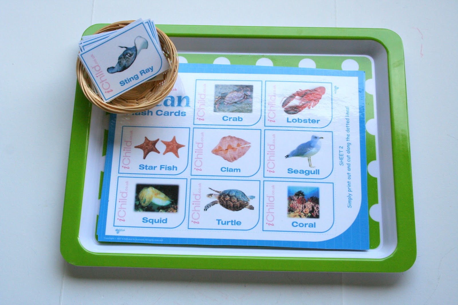 Our Country Road: Summer Fun Montessori Trays