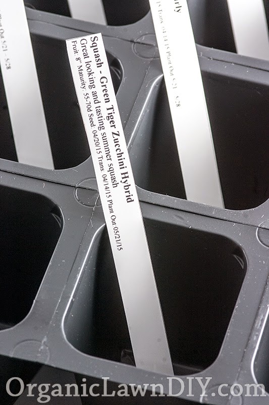 DIY Printed Plant Labels