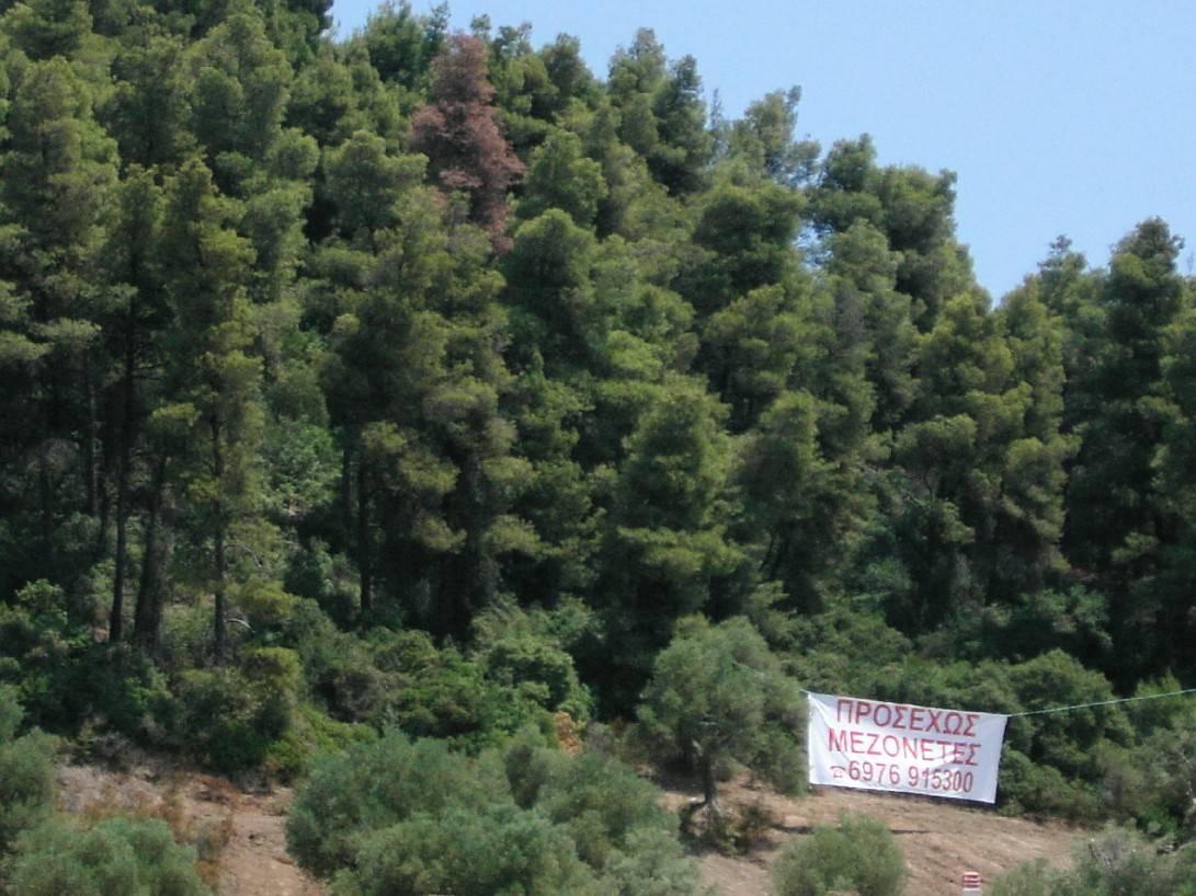 PATRINAKI: ''ΠΑΓΚΟΣΜΙΑ ΗΜΕΡΑ ΠΕΡΙΒΑΛΛΟΝΤΟΣ''....ALA MITSOTAKIS ...