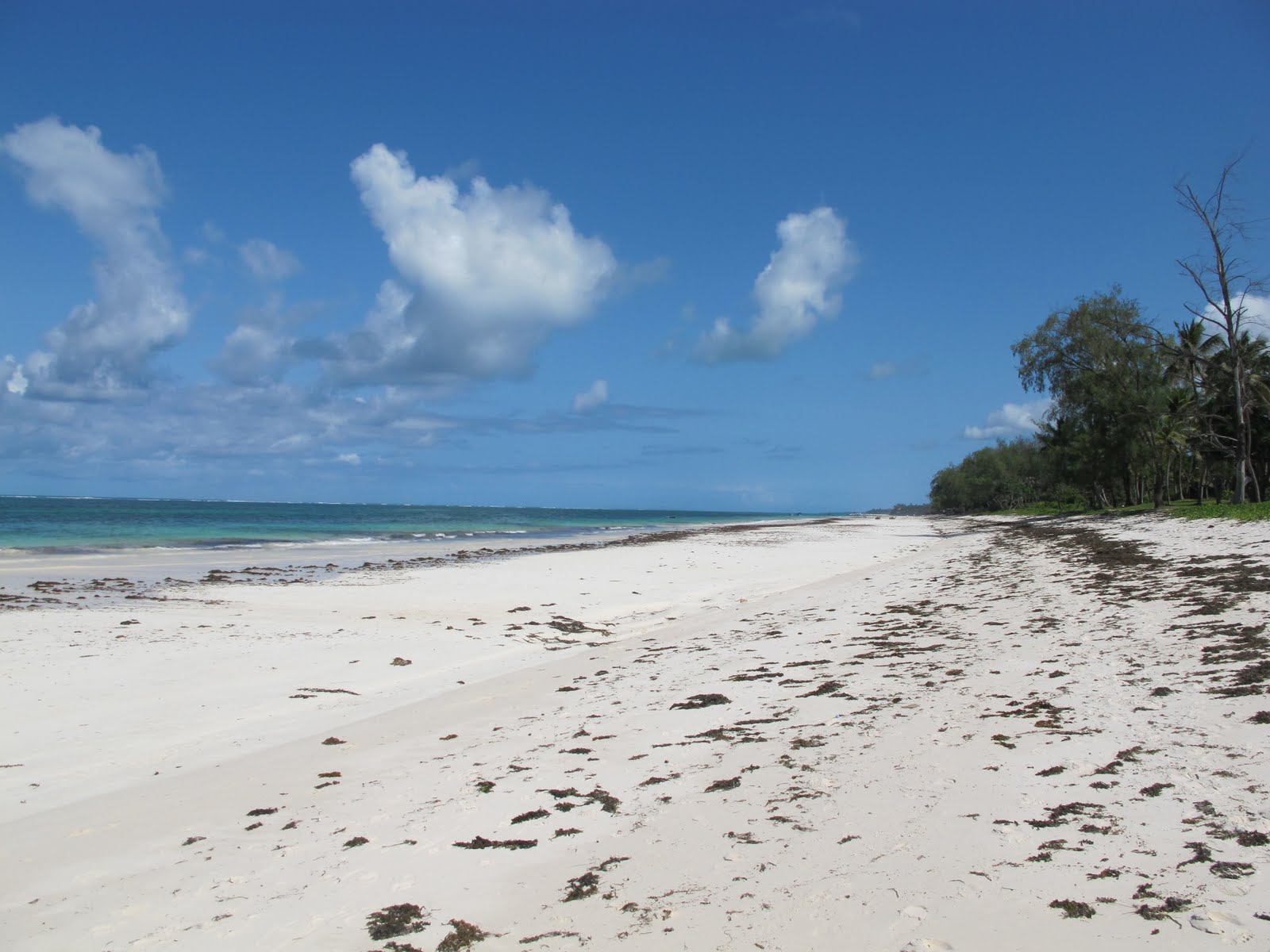 Diani Beach, Kenya - Travel Guide and Travel Info