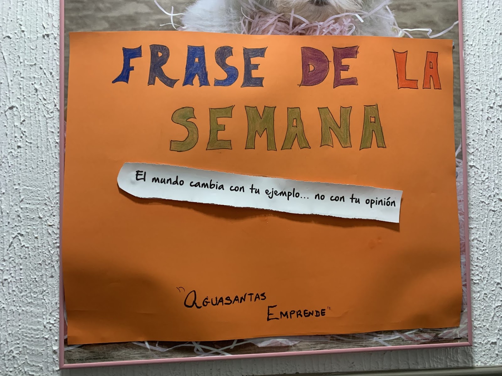 F.P.B.1: C.E.E. AGUASANTA: Frase de la semana