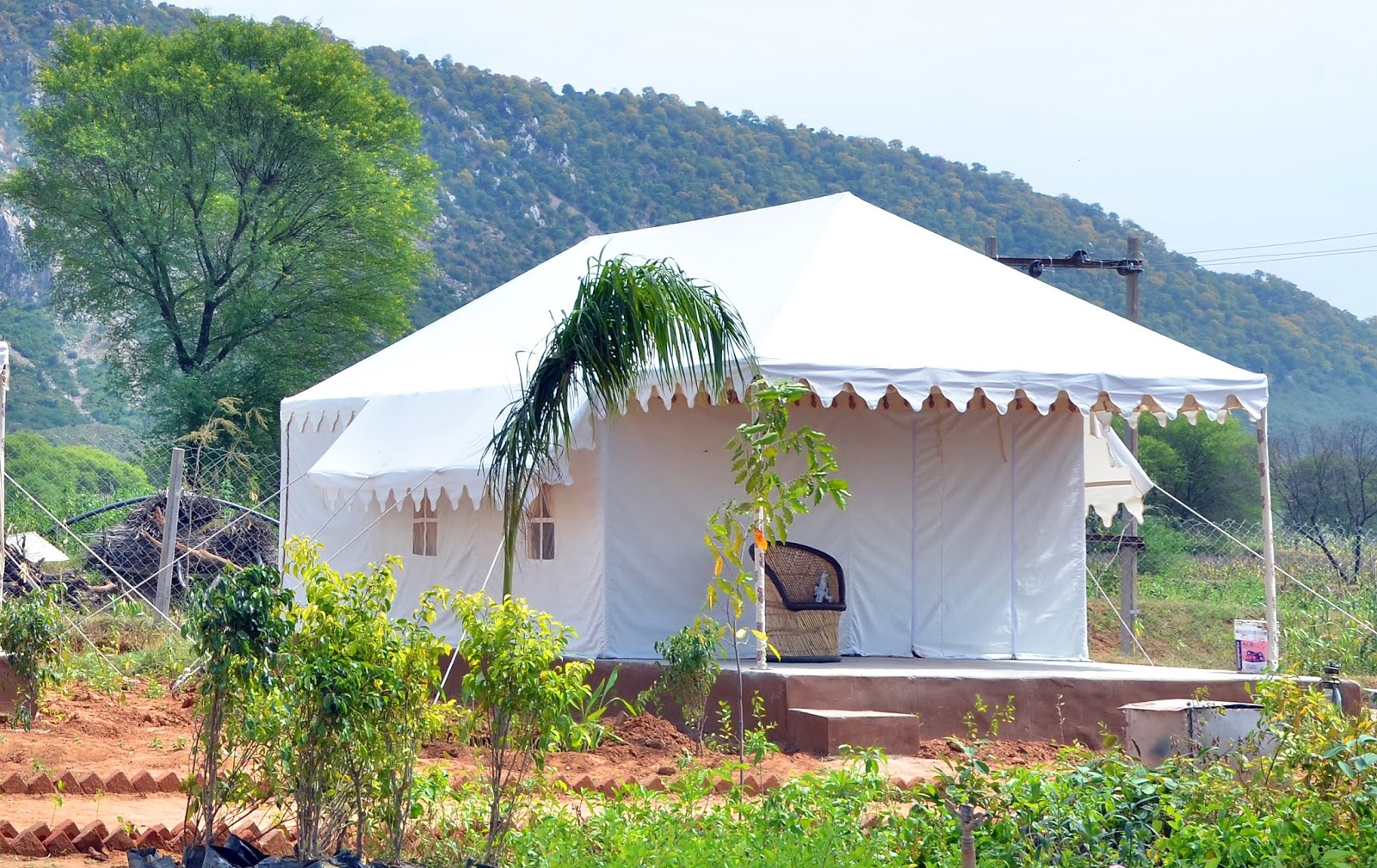 Camp in Sariska
