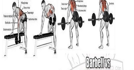 Barbell Row Vs Dumbbell Row And Which Is Superior