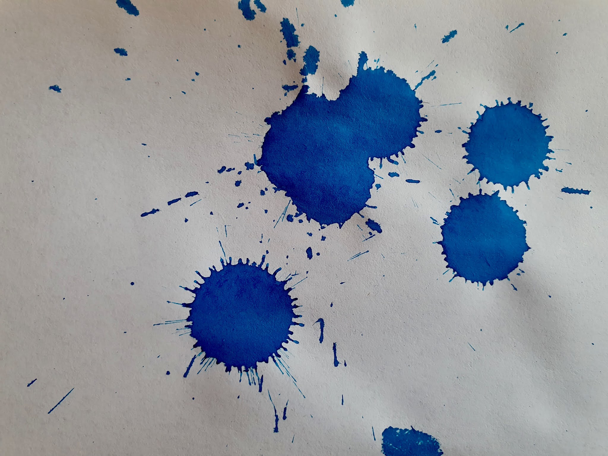 El Pajarete Orquidiado: Sailor Manyo Ink Sumire: Una flor brillante y ...