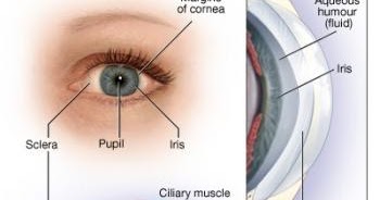 obatherbalsehatmata: Ciri-Ciri Mata Rabun Dan Pengobatanya