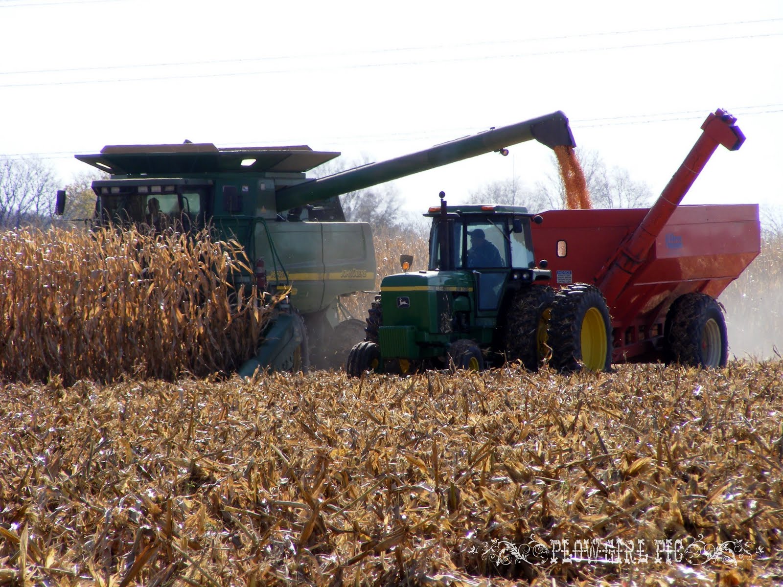 Family of Farmers: Meet the Campbells