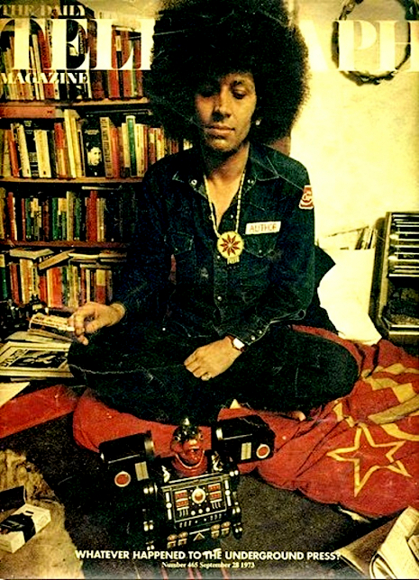 OLD, WEAK BUT ALWAYS A WANKER - THE PUNK YEARS: THE DEVIANTS - Disposable