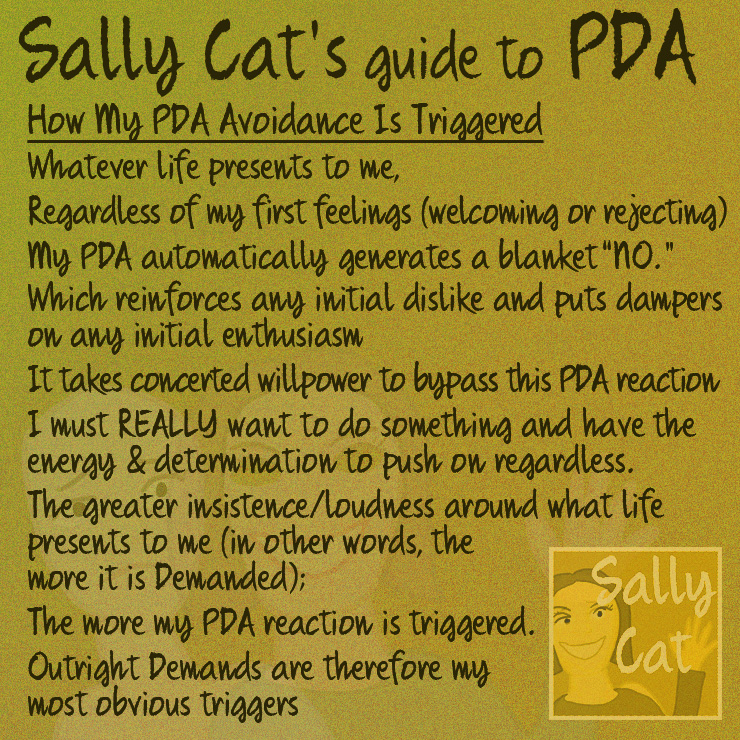 Sally Cat PDA: Memes About Demand Avoidance