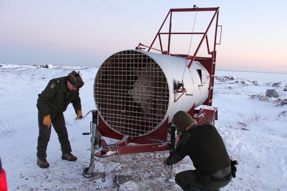 The Polar Bear Jail of Churchill | Amusing Planet