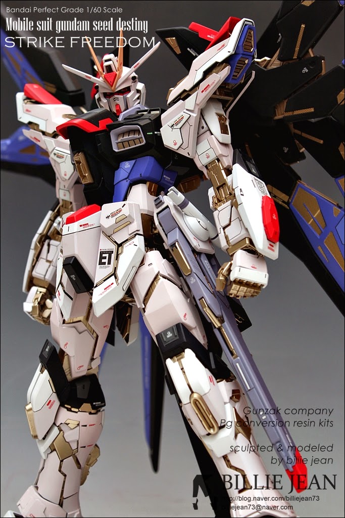 GUNDAM GUY: PG 1/60 Strike Freedom Gundam [Conversion Resin Kit ...