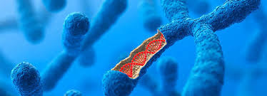 Genome Mutations and Trisomy - Profesional Tech