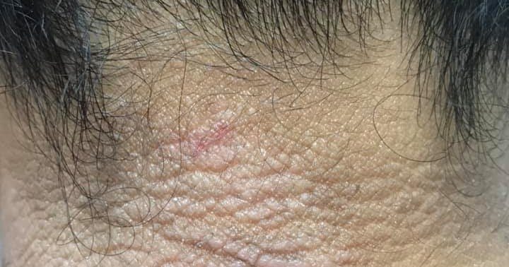 EL RINCÓN DE LA MEDICINA INTERNA. juanpedromacaluso@yahoo.com.ar ...