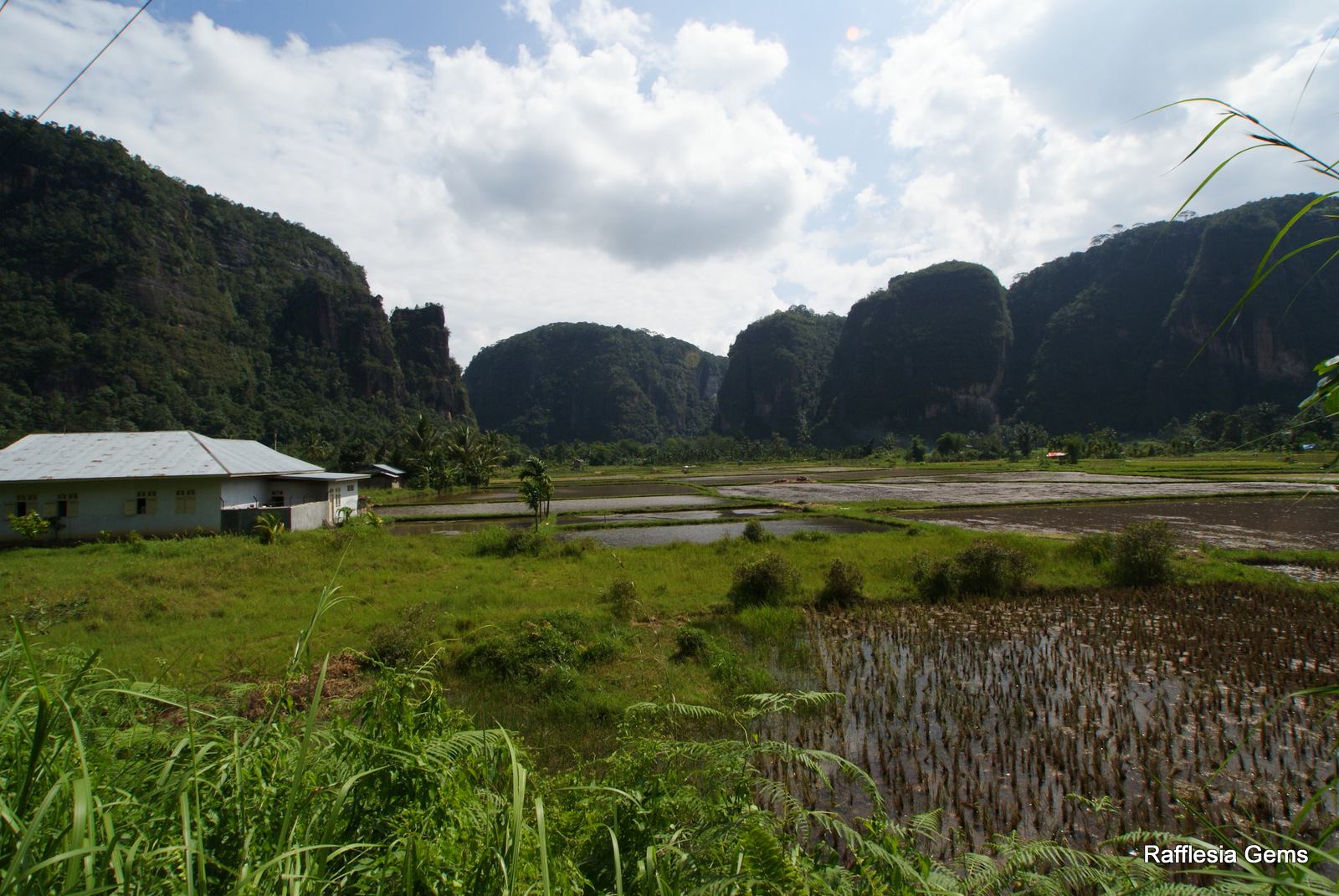 Magical Sumatra and Java: Lembah Harau(Harau Valley)