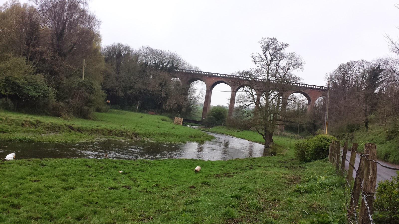 blog7t: Darent Valley 10k 2014