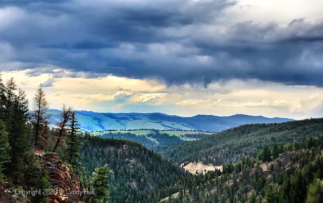 Montana 1 a day.com: Mountain Medicine - Anaconda-Pintler Scenic ...