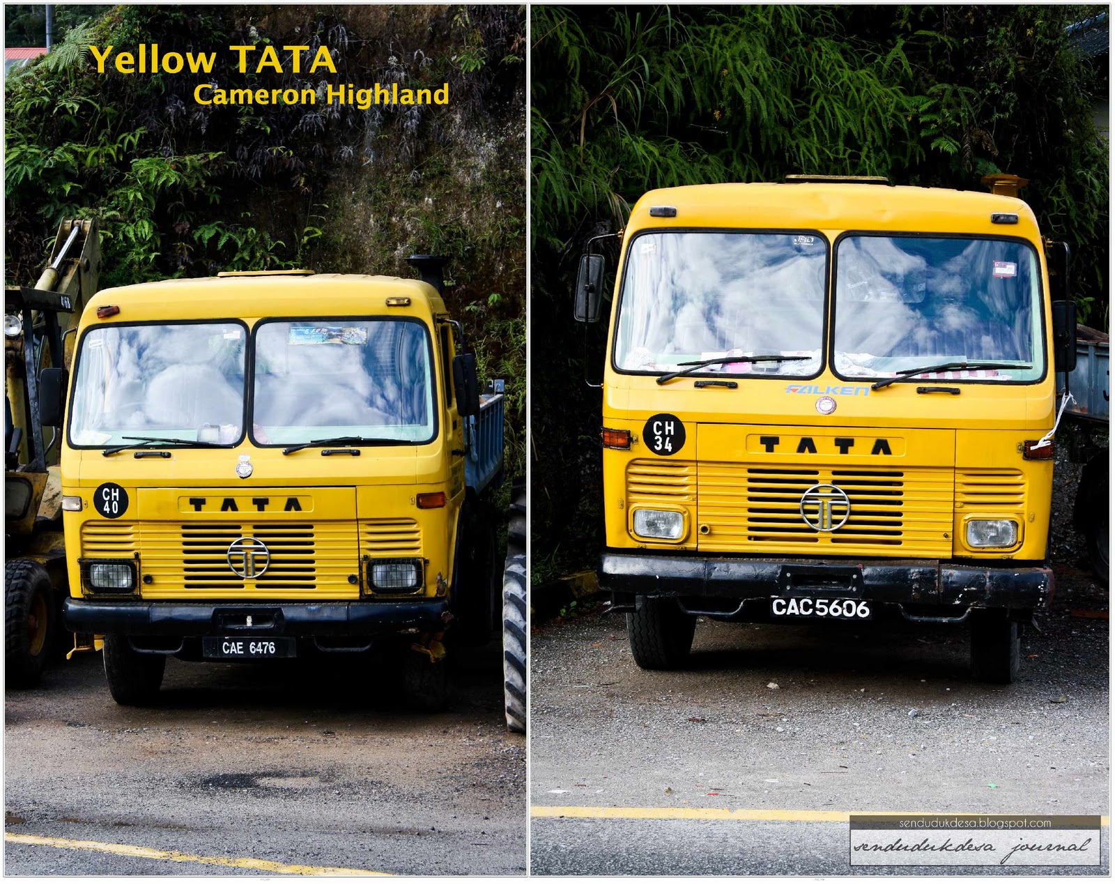 sendudukdesa journal: Yellow TATA