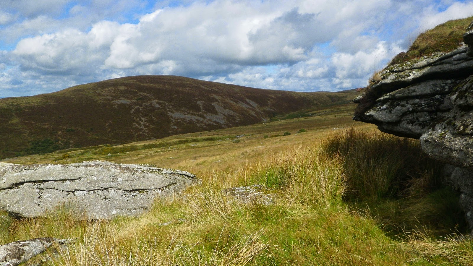 My Dartmoor Walks: Wednesday 24th September Great Links Tor