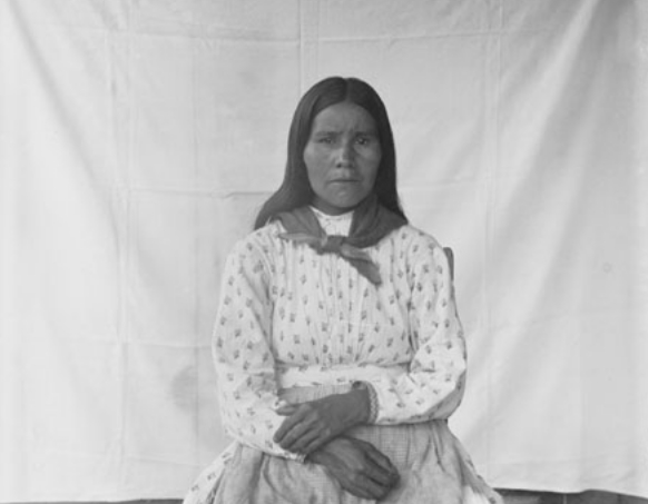 White Wolf : Cherokee Women and Their Important Roles