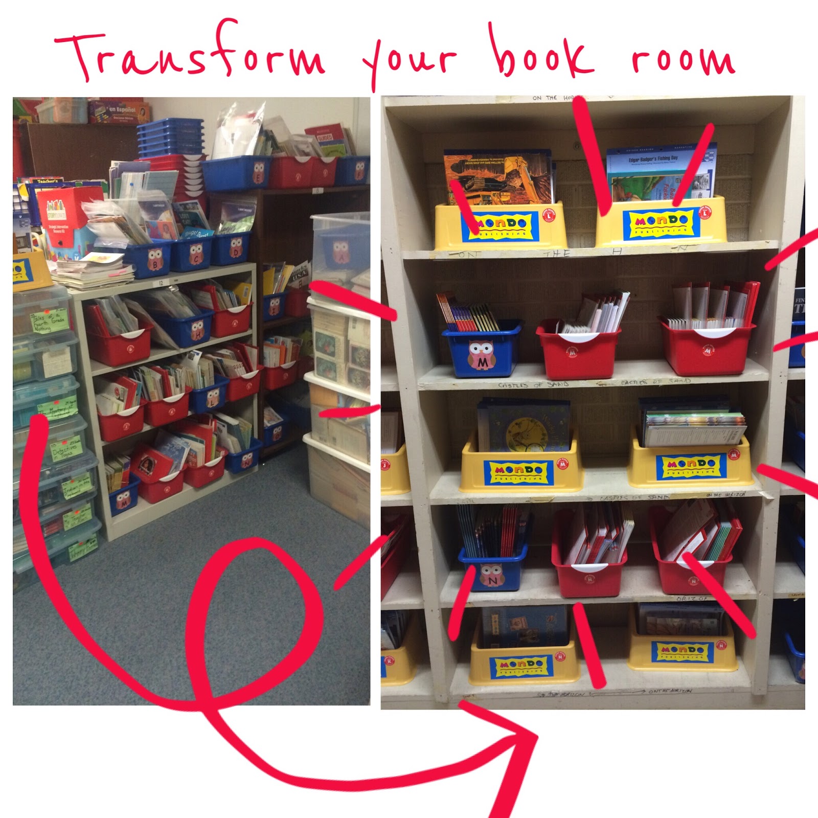 Elephants & Education: The One With An Organized Book Room