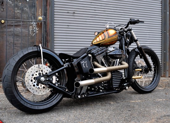 ALCHOP06: Softail ........