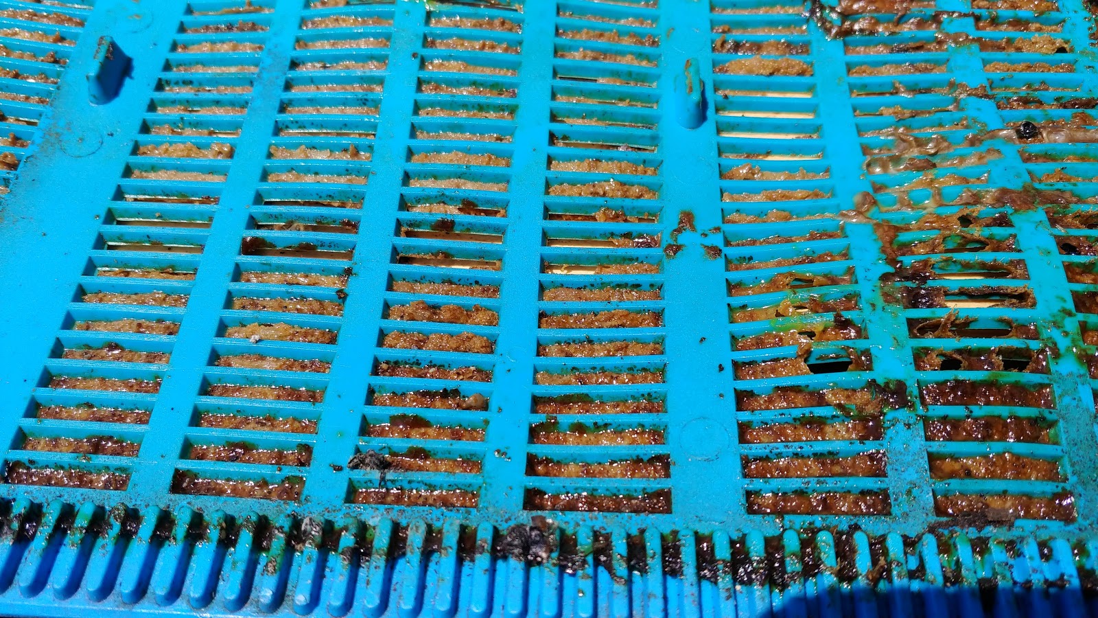 Winter is Coming....Are Your Bees Ready?