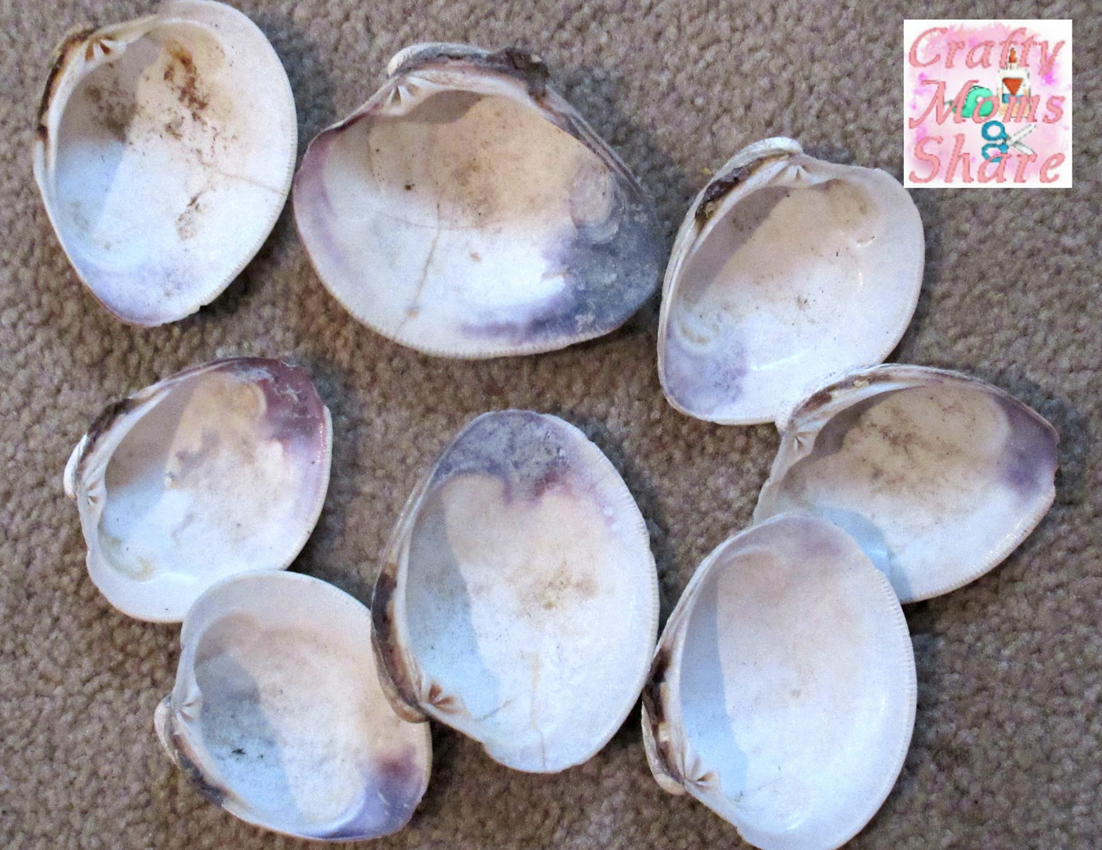 What Is A Wampum And How Was It Used - trade beads