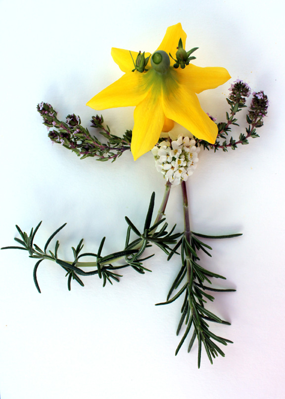 Mother Nature's Peeps | Suzanne MacCrone Rogers • Italian Girl in Georgia™