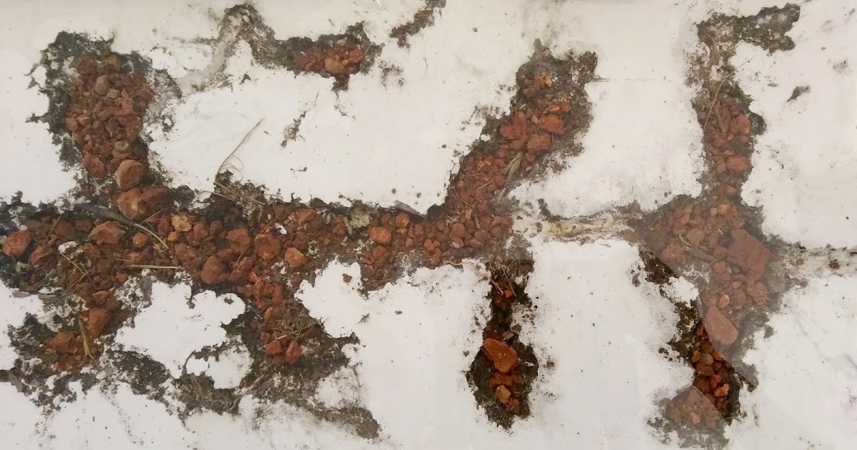 CINQUECASCAPISCOL: El formiguer