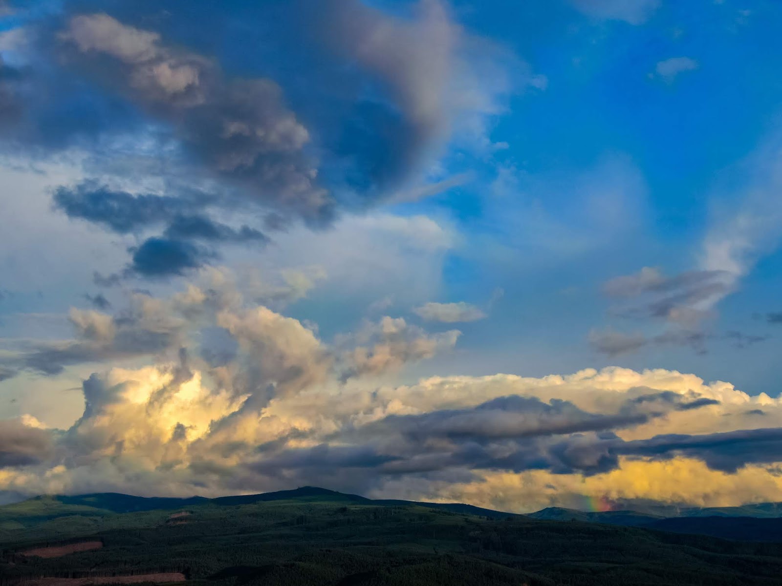 Illuminations from the attic: Spectacular Skies of Early Summer
