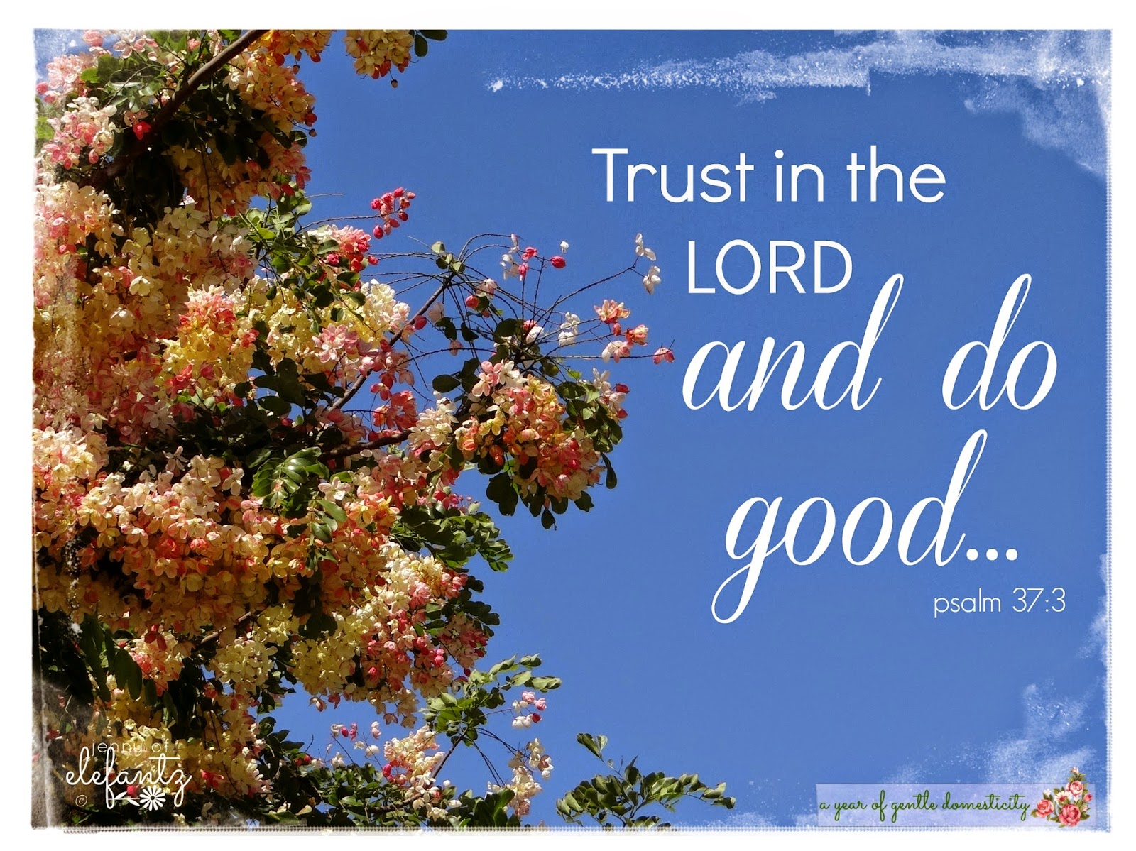 Jenny of ELEFANTZ: Domestic Reflections Sunday - Psalm 37:3