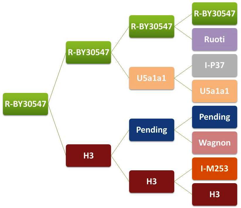 Family Sleuther: The Genetic Family Tree Grows New Buds