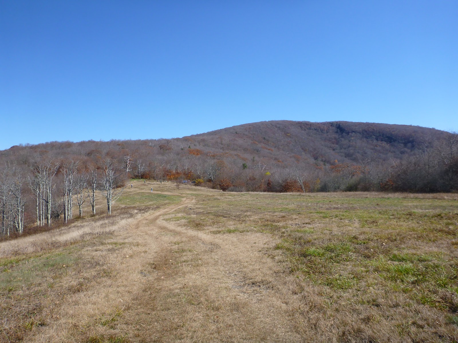 GSMNP - HIKER: Hike Up Mud Gap To Whigg Meadow Grassy Bald