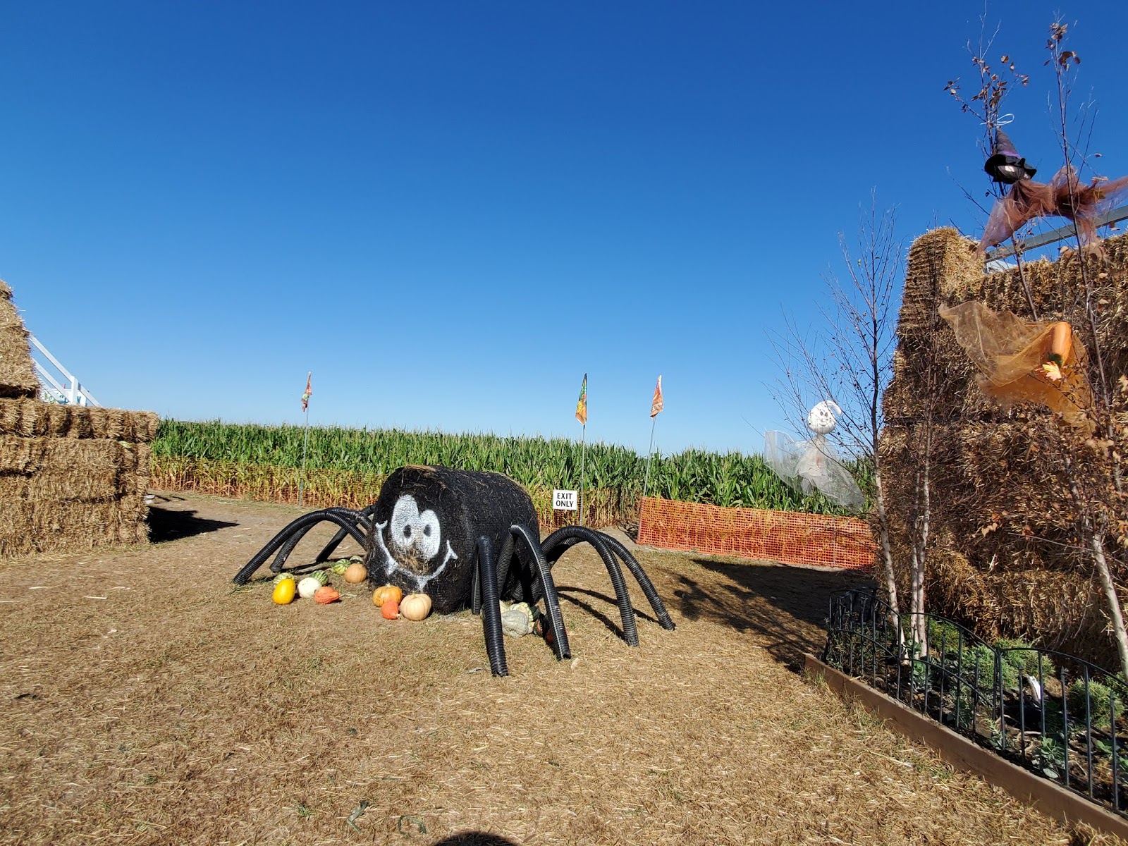 Play St. Louis: Thies Farm (Pumpkinland), Maryland Heights