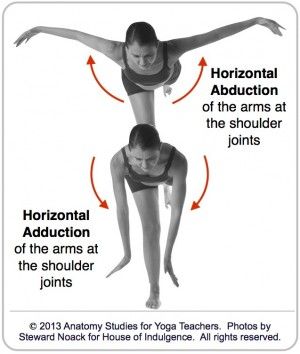 Physical Therapy Exercises: shoulder joint movement