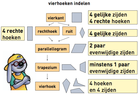 KSD St.-Jan 5de leerjaar: wiskunde: meetkunde: de vierhoeken