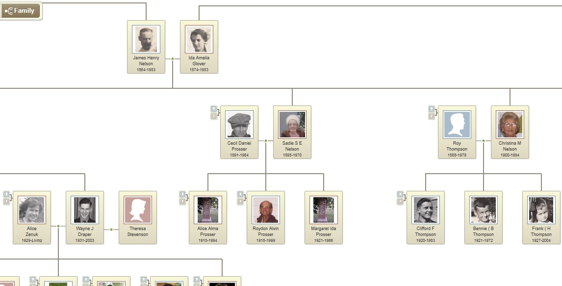 Inkwell Inspirations: Using Genealogy For Story Realism