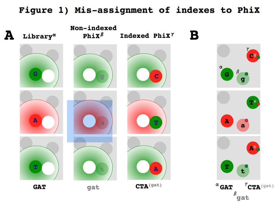 CoreGenomics: Index mis-assignment to Illumina's PhiX control