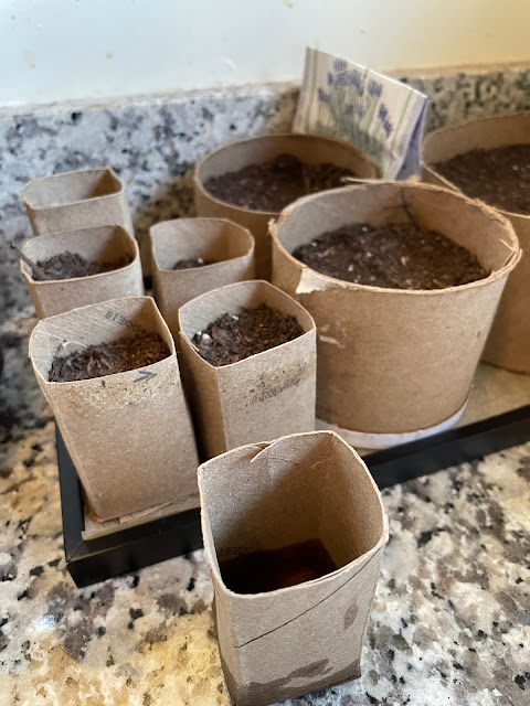 Instructions: Seedling Planters from Tubes