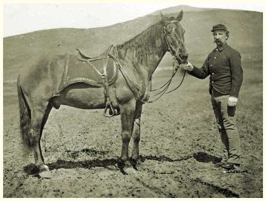 THE FIRST VERMONT CAVALRY IN THE CIVIL WAR: A HISTORY, reviewed.