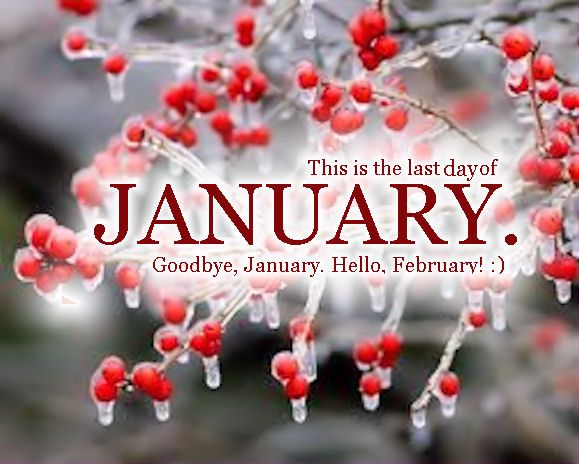 What Happened In January Resensi Buku Nisa what-happened-in-january-resensi-buku-nisa