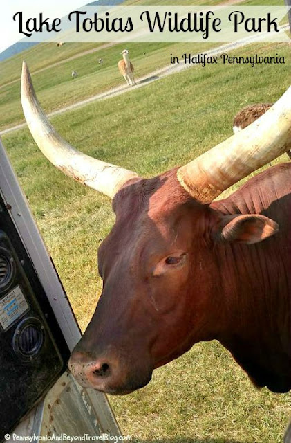 Pennsylvania & Beyond Travel Blog: Visiting Lake Tobias Wildlife Park ...