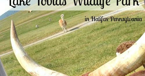 Pennsylvania & Beyond Travel Blog: Visiting Lake Tobias Wildlife Park ...