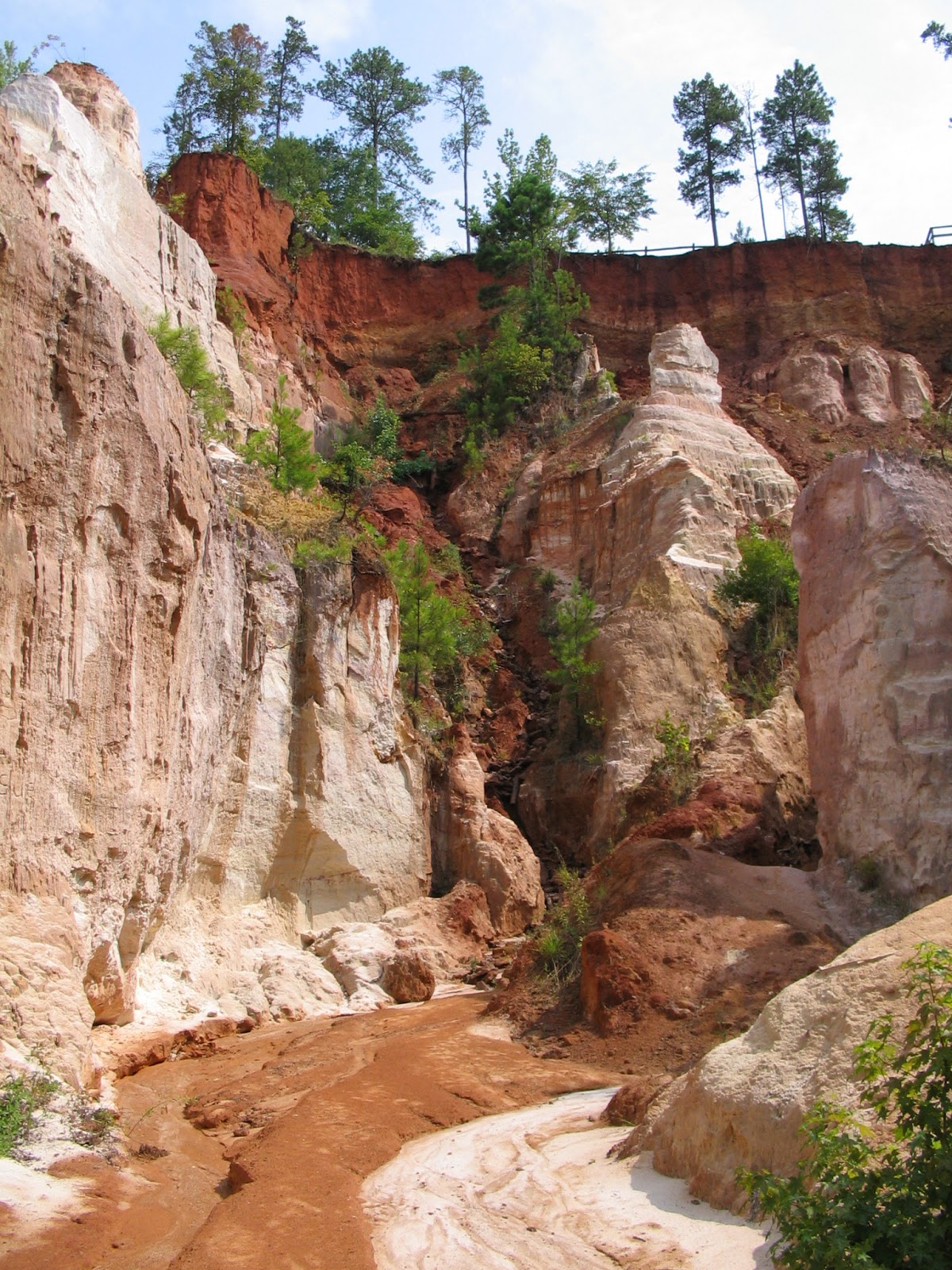 Georgia Nature Blog: The Natural History of Georgia: 1. The ...