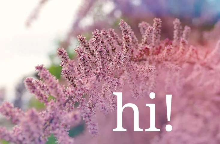 Top 10 Hi Images, Photos, Pictures, Greetings for WhatsApp - Good Morning