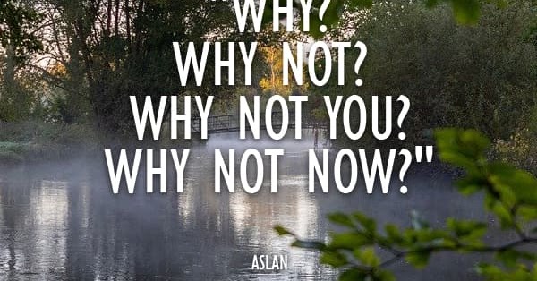 Aslan Quote: "Why? Why not? Why not you? Why not now?"