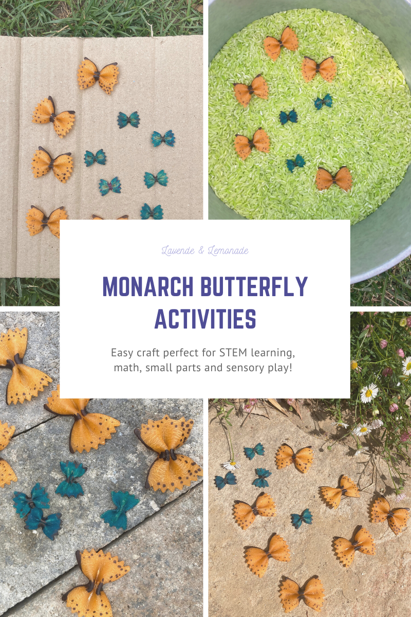 Monarch Butterfly MATH Activities |Lavende and Lemonade