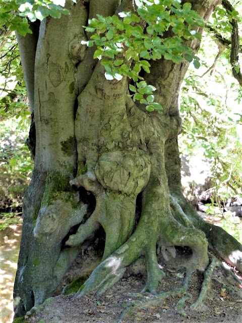Mooiste Routes: Roggel wandelen, Wandelende Beken
