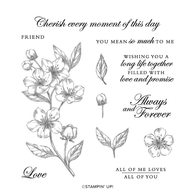 Always and Forever | Using the Forever Blossoms Stamp Set - Kylie Bertucci
