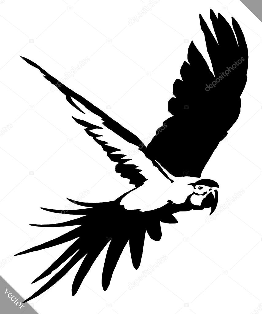 Blog Del Profesor David Duarte Martínez: ALTO CONTRASTE